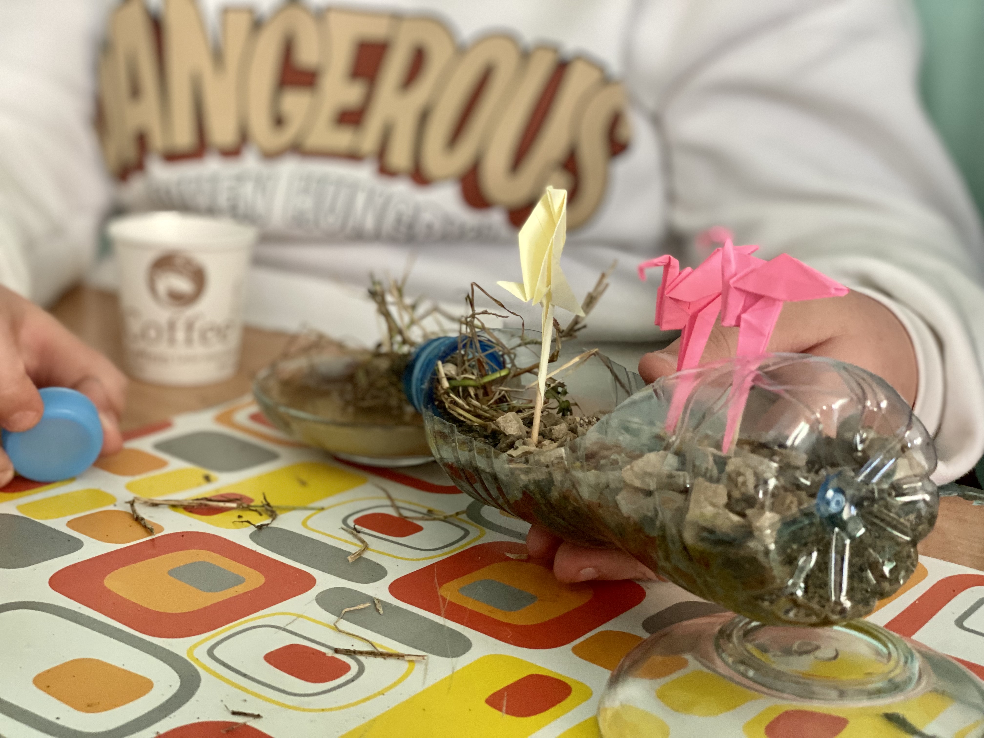 Celebrating World Wetlands Day: Constructing a "Mini-Wetland" with ...